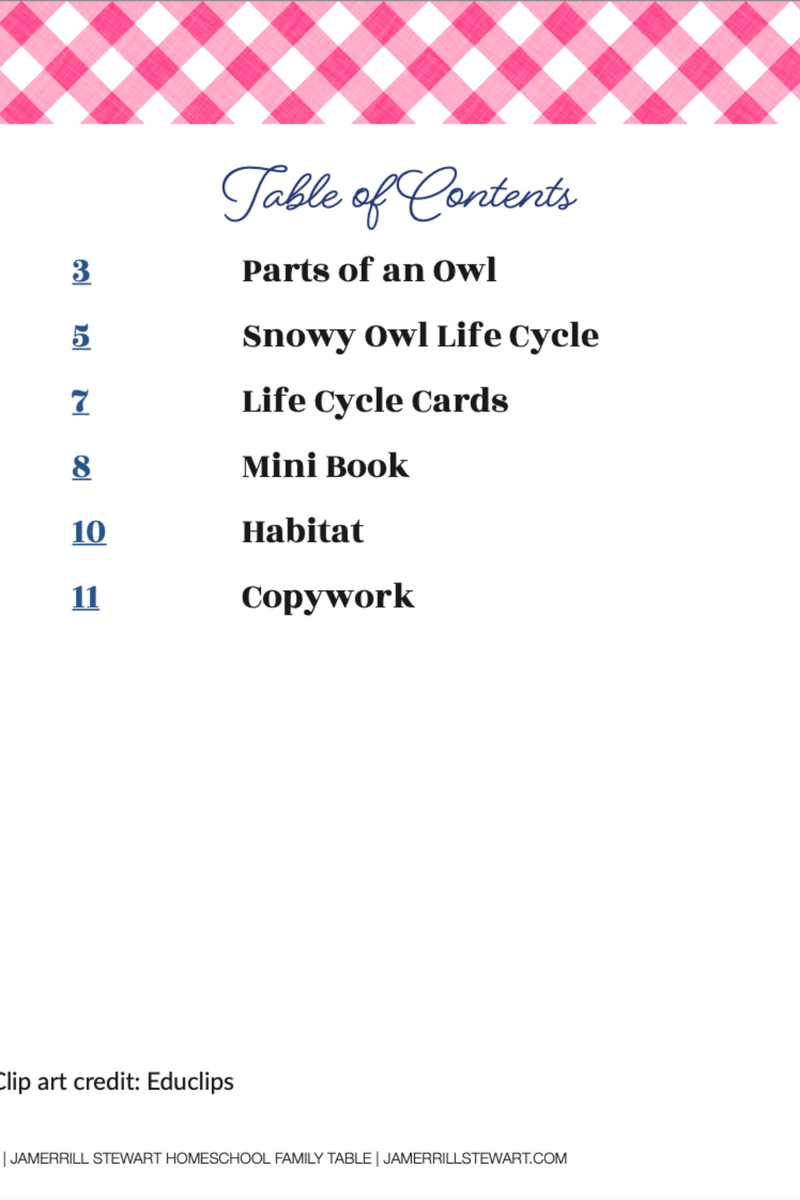 Owls Table Pack {11 pages} – Jamerrill Stewart, Large Family Table ...